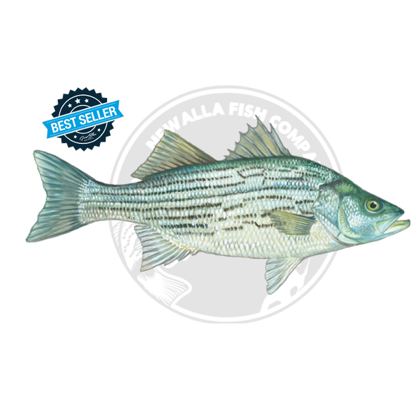 Newalla Fish Company Certified Sports Fish Fingerlings
