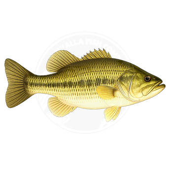 Newalla Fish Co. Pro-Shop: Top Catalog for Pond Owners – Newalla Fish ...