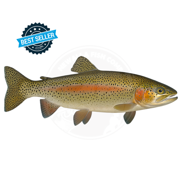 Live Trout Fingerlings & Feed - Newalla Fish Co. Pro-Shop – Newalla ...