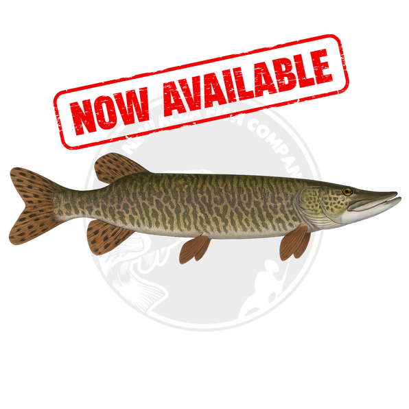 Newalla Fish Company Certified Sports Fish Fingerlings